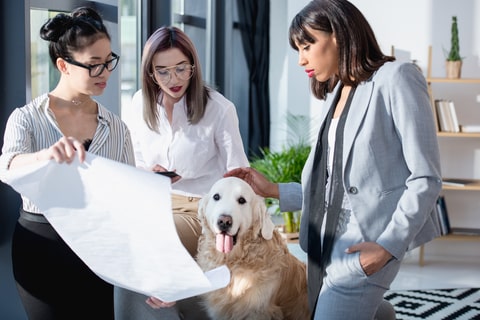 How To Be A “Leader’s Pet” – NLPA
